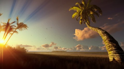 Tropical Landscape Palm Trees Woman Running Stock Footage Video (100% ...