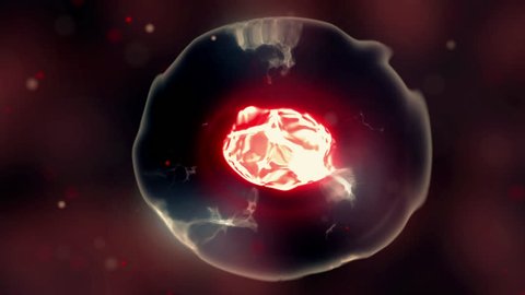 Dividing Cells Nucleus Animation Ultrahd Video Stock Footage Video (100 ...