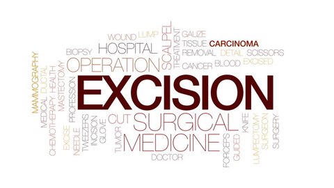 Excision Animated Word Cloud Text Design Stock Footage Video (100% ...