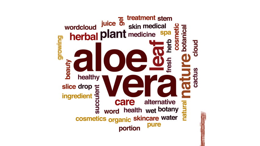Aloe Vera Animated Word Cloud, Stock Footage Video (100% Royalty-free ...