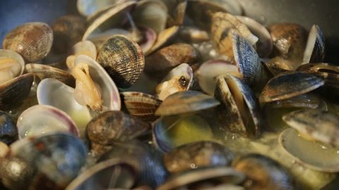 Clams Cooking Hot Pan Stock Footage Video (100% Royalty-free ...