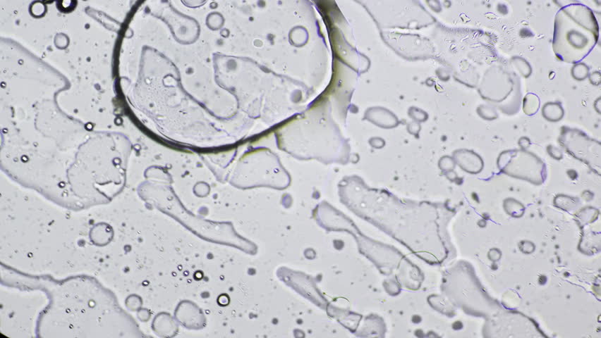 bright-field microscopic diagonal transition oil water Stock Footage ...