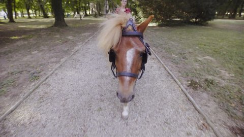 Pony Pulling Cart Person Driving 4k Stock Footage Video (100% Royalty ...