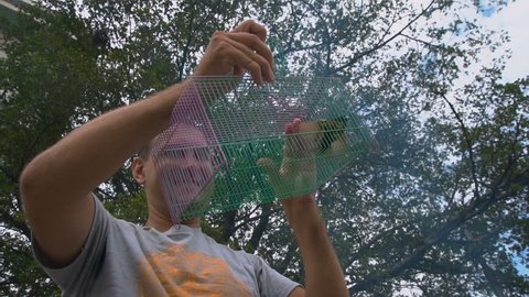 Young Man Releasing Bird Good Luck Stock Footage Video (100% Royalty ...