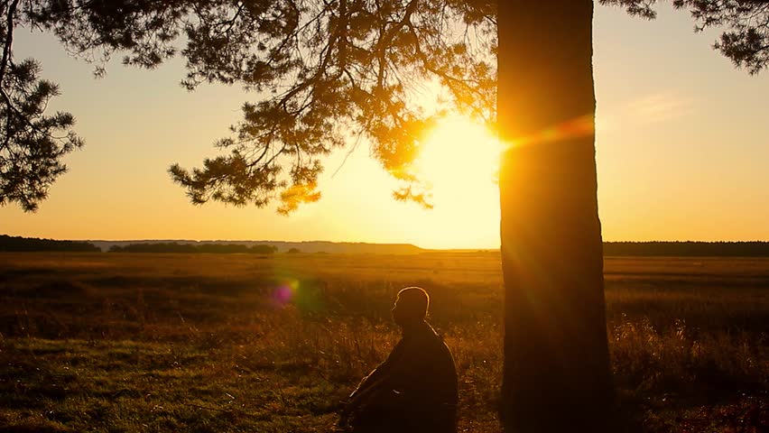 Human Sitting Under Tree. Man Stock Footage Video (100% Royalty-free ...