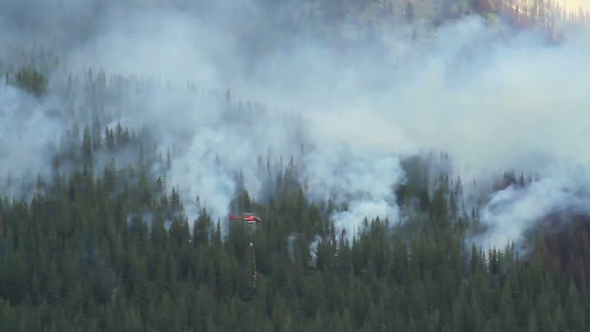 helicopter prescribed forest control burn Stock Footage Video (100% ...