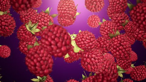 Animation Falling Raspberries Colorful Background Animation Stock ...