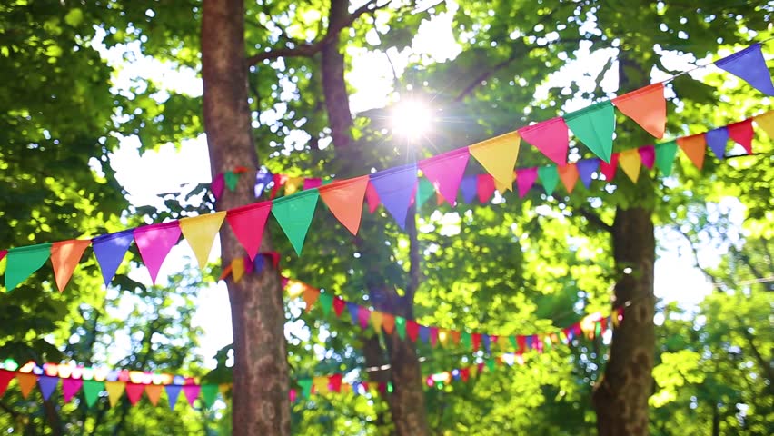 Bunting Flags Stock Video Footage - 4K and HD Video Clips | Shutterstock