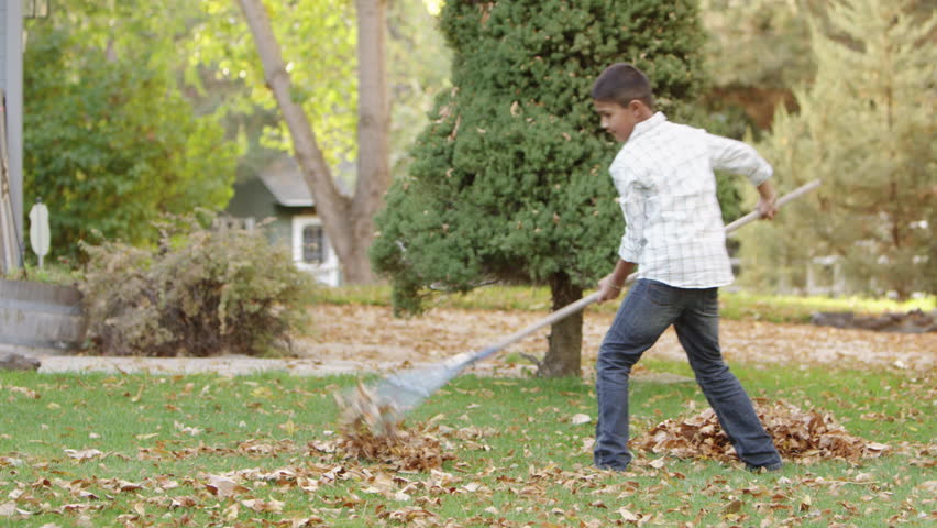young boy raking leaves on autumn Stock Footage Video (100% Royalty ...