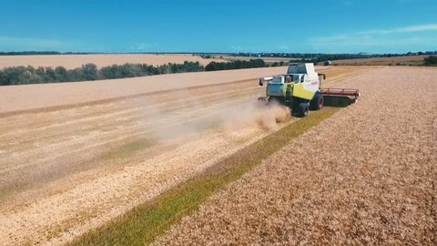 Aerial Drone Shot Modern Combine Harvester Stock Footage Video (100% ...