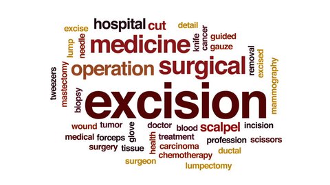 Excision Animated Word Cloud Text Design Stock Footage Video (100% ...