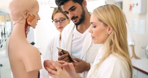 Student Medicine Examining Model Human Body Stock Footage Video (100% ...