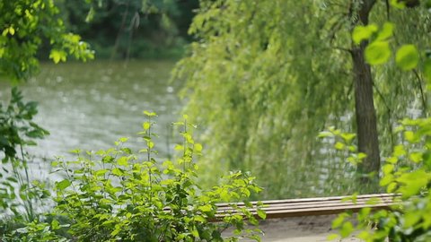Bench Near Water Nature Stock Footage Video (100% Royalty-free ...