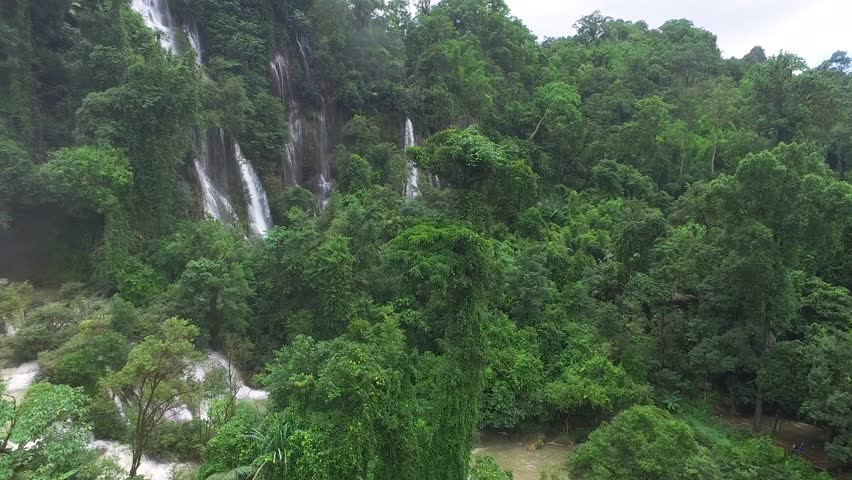 high humidity jungle rainforest timelapse moving Stock Footage Video ...