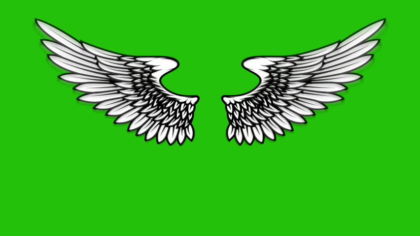 letter s shield wings gold color Stock Footage Video (100% Royalty-free ...