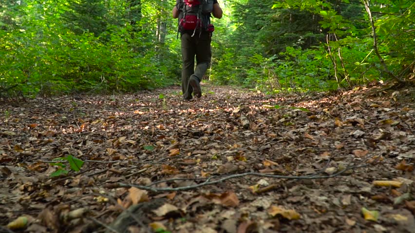camper walking forest Stock Footage Video (100% Royalty-free) 31117636 ...