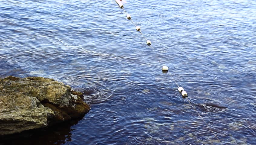 Buoy Markers Floating On Sea Stock Footage Video (100% Royalty-free ...
