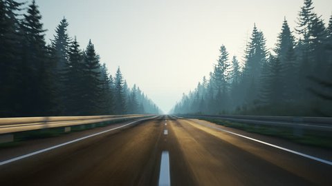 02903 Camera Moving Forward On Forest Stock Footage Video (100% Royalty ...