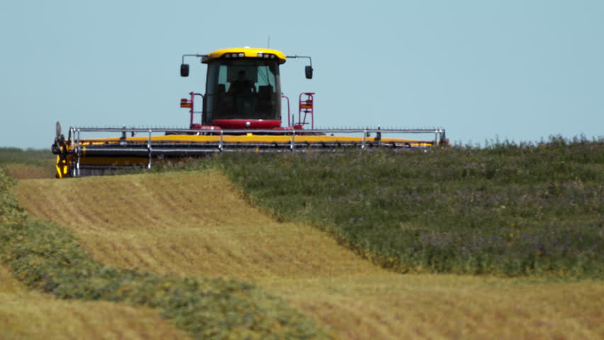 combine harvesting flax seed flowers field Stock Footage Video (100% ...