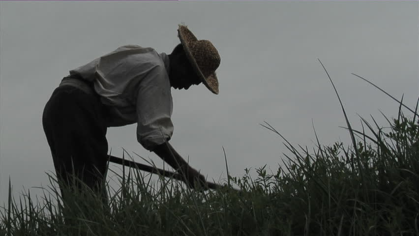 Man Tattered Clothes Stock Video Footage - 4K and HD Video Clips ...