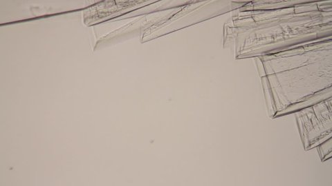 Math School Design Background Illustration Stock Illustration 115929388 ...