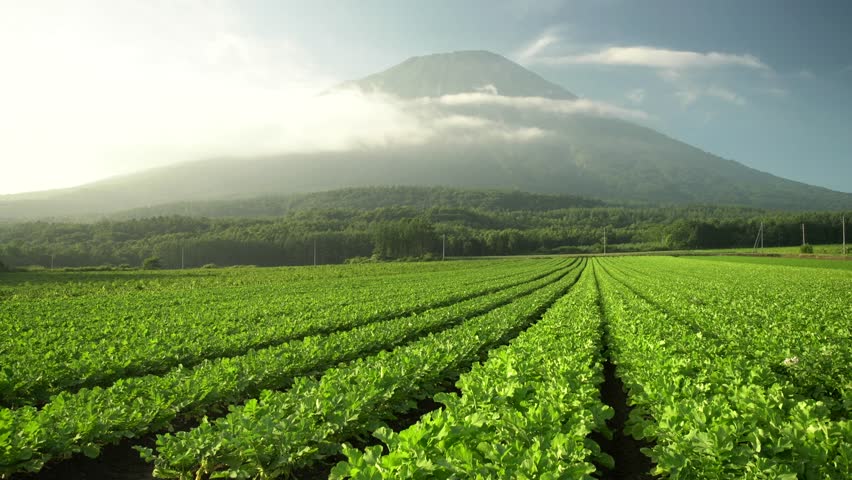 Ezo Fuji Stock Video Footage - 4K and HD Video Clips | Shutterstock