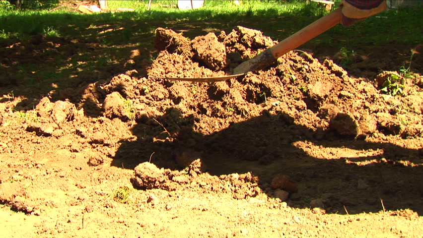 young man digging his backyard Stock Footage Video (100% Royalty-free ...