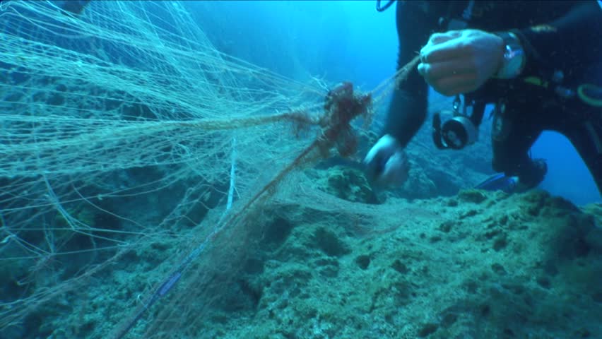 Rescue Net Stock Video Footage - 4K and HD Video Clips | Shutterstock