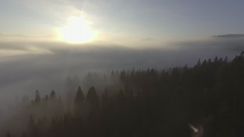 Flying Through the Fog Stock Footage Video (100% Royalty-free) 31582972 ...