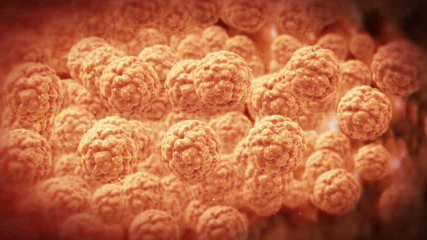 inside human bodyfat cellshighly detailed texture Stock Footage Video ...