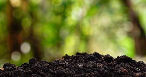Soil Nature Background Stock Photo 560273398 | Shutterstock