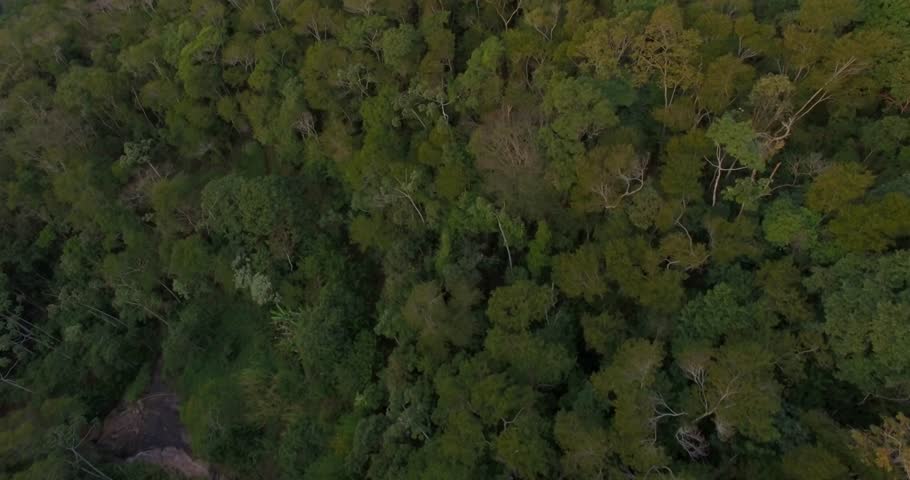 cubilla cave cueva de la spring Stock Footage Video (100% Royalty-free ...