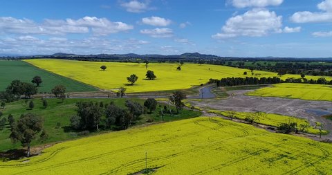 Lake Hume Murray River Agricultural Fields Stock Footage Video (100% ...