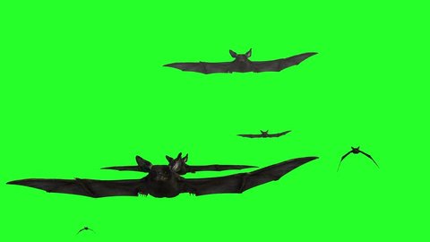 Swarm Spooky Bats Flying Against Green Stock Footage Video (100% ...