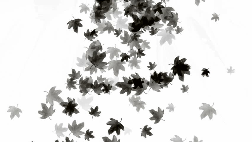 group black leafs falling Stock Footage Video (100% Royalty-free ...