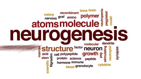 Neurogenesis Animated Word Cloud Text Design Stock Footage Video (100% ...