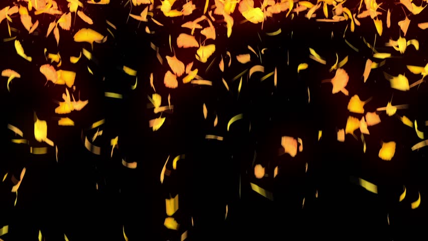 Autumn Leaves Falling On Black Stock Footage Video (100% Royalty-free ...