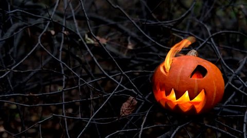 Halloween Home Decorations Spiders Pumpkin Bucket Stock Photo (Edit Now ...