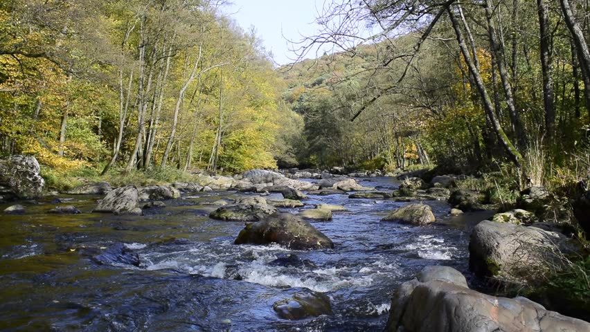 ambleve river place ''fonds de quarreux'' Stock Footage Video (100% ...
