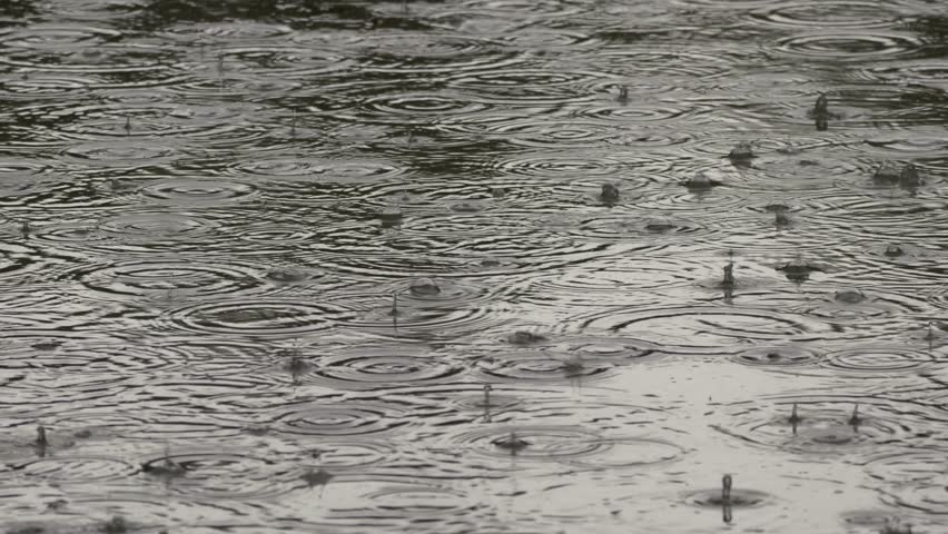 rain falling on water surface Stock Footage Video (100% Royalty-free ...