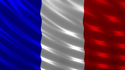 Flag France French Banner National Flag Stock Footage Video (100% ...