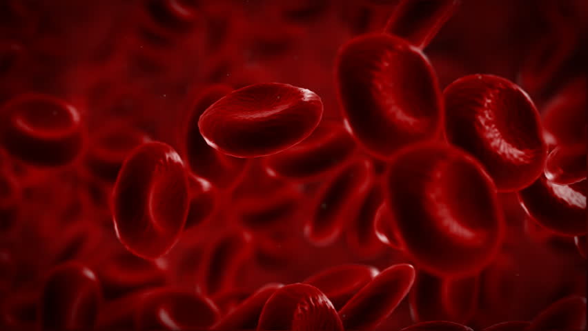 3d Simulation of Red Blood Stock Footage Video (100% Royalty-free ...