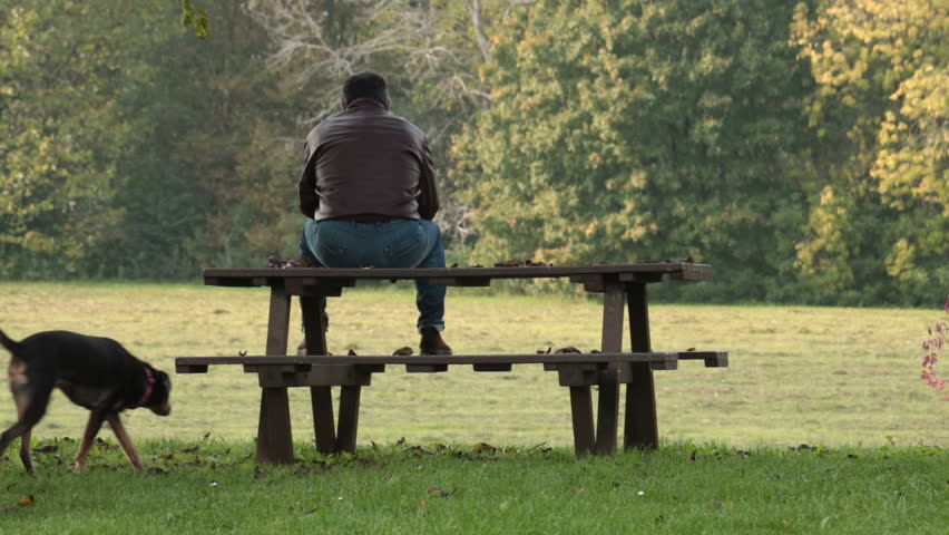 Dog Protecting its Owner, Faithful Stock Footage Video (100% Royalty ...