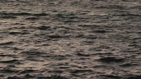 Metal Grey Sea Waves Surface 2 Stock Footage Video (100% Royalty-free ...