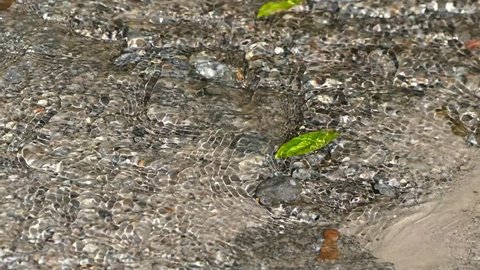 Flow Clean Water Running Water Stock Footage Video (100% Royalty-free ...