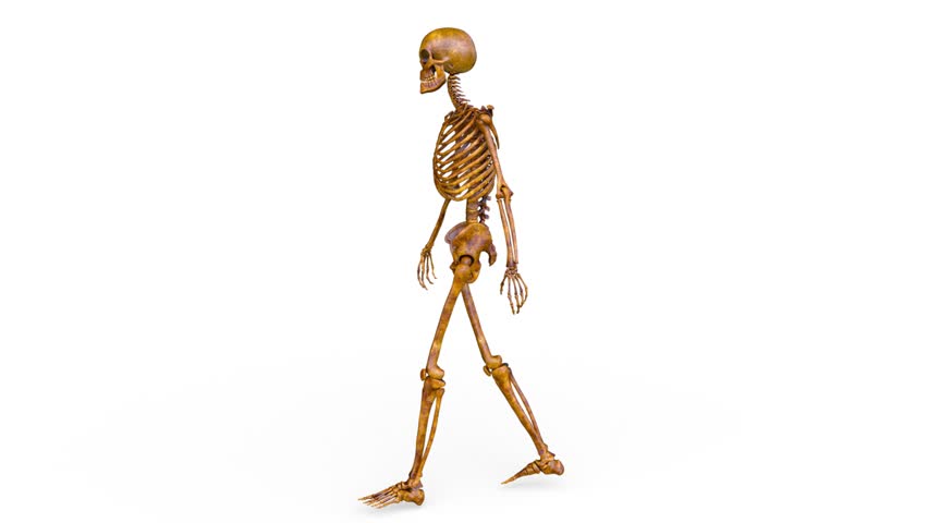 skeleton running morphing into human loop Stock Footage Video (100% ...