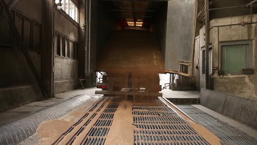 Grain Truck Unloading. Wheat is Stock Footage Video (100% Royalty-free ...