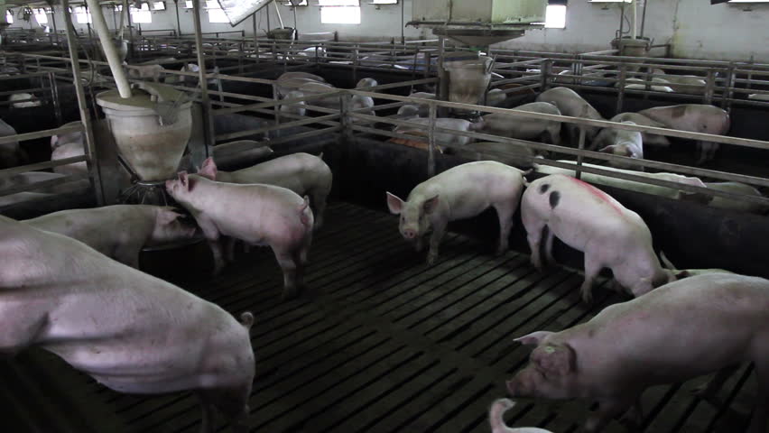 Farmer at Work On a Stock Footage Video (100% Royalty-free) 3208039 ...