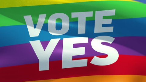 Vote Yes Rainbow Flag Seamless Loop Stock Footage Video (100% Royalty ...