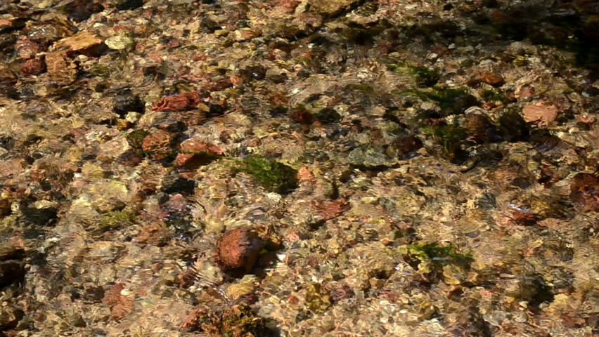 small pebble stones closeup underwater flow Stock Footage Video (100% ...
